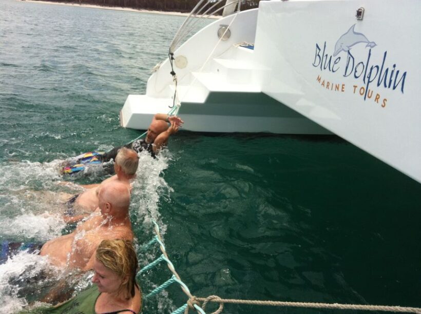 Fraser Island 4-Hour Eco-Sailing Adventure - FAQ: Your Practical Questions Answered