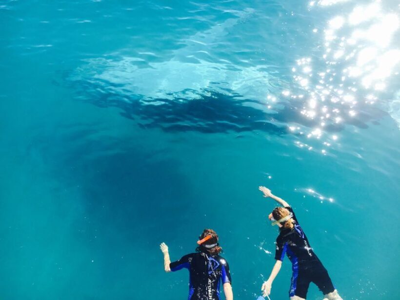 Fraser Island (K'gari): Remote Island and Whale Experience - A Detailed Look at the Full-Day Fraser Island and Whale Experience
