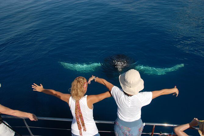 Fraser Island Whale Watch Encounter - Who Is This Tour Best For?
