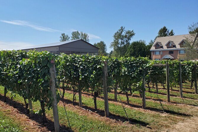 Fraser Valley Wine Tour from Vancouver with a Light Lunch - The Itinerary in Detail: What to Expect