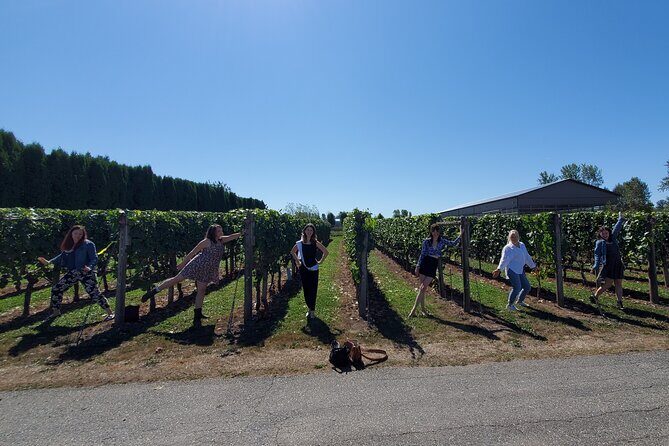 Fraser Valley Wine Tour from Vancouver with a Light Lunch - Who Will Enjoy This Tour?