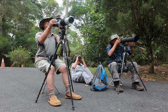 Fraser's Hill Bird-Watching & Nature Sightseeing Tour from Kuala Lumpur - Who Should Consider This Tour?