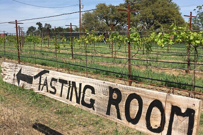 Fredericksburg Hill Country Aficionado Wine Tour from San Antonio - An In-Depth Look at the Tour Experience