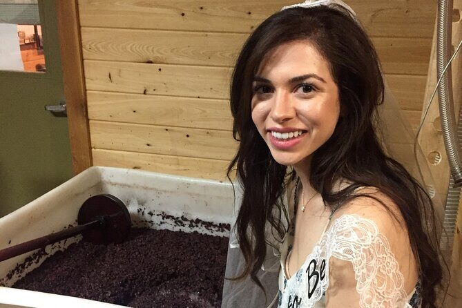 Fredericksburg Hill Country Aficionado Wine Tour from San Antonio - Who Should Consider This Tour?
