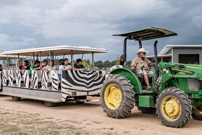 Fredericksburg Safari Tour With Wine Tasting - An In-Depth Look at the Fredericksburg Safari Tour with Wine Tasting