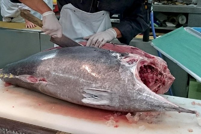 Free Choice of Itineraries Tokyo Private Tour - Inclusions and Accessibility