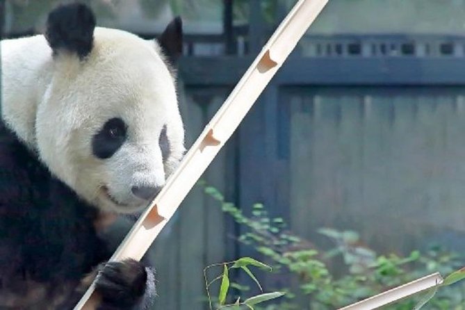 Free Choice of Itineraries Tokyo Private Tour - Customer Feedback and Host Response