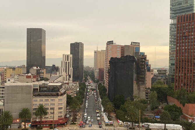 Free Mexico City Centre Tour - Authentic Experiences and Insights