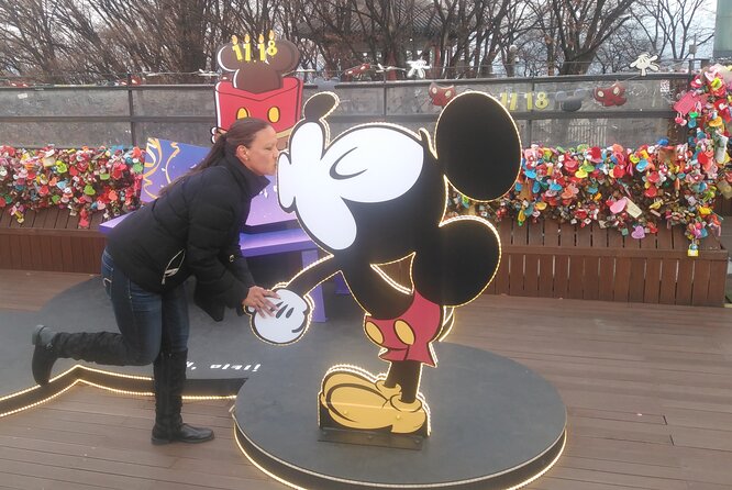 Free style private Tour(Essence of Seoul city or DMZ) - Summary: Who Will Enjoy This Tour Most?