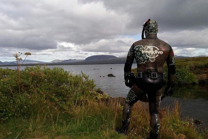 Freedive Silfra Half Day Tour - Authentic Reviews and Common Themes