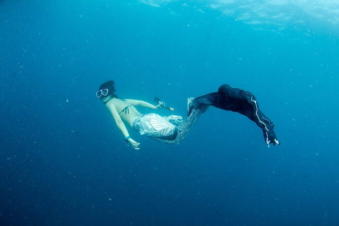 Freediver advanced (start at Koh Chang) - The Sum Up: Who Will Appreciate This Freediver Course?