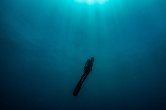 Freediving at Museum Atlantico - What to Expect from the Freediving at Museum Atlantico Tour