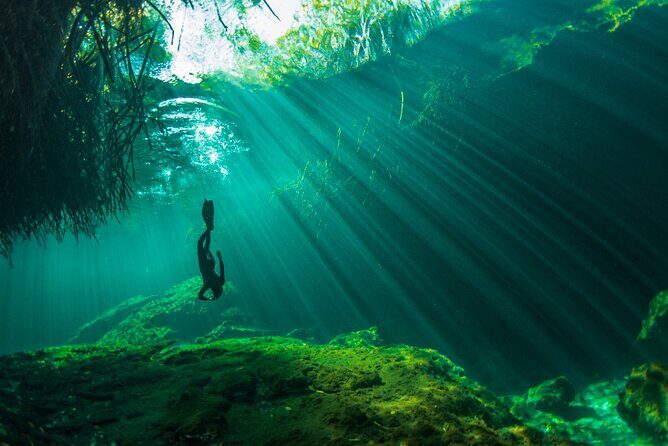 Freediving Intro for Beginners in a Cenote in Tulum Mexico - Cancellation and Policies