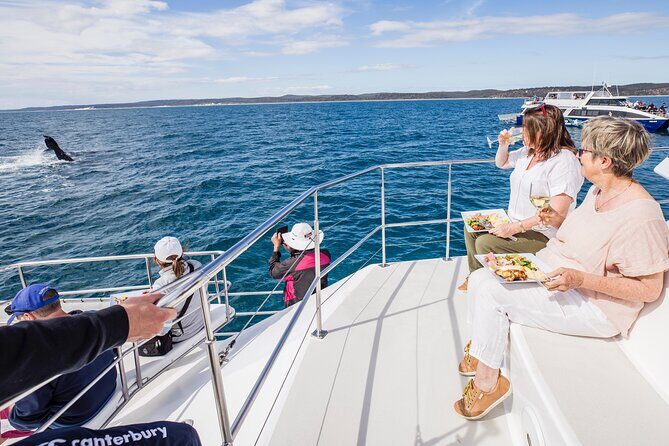 Freedom 3/4 Day Hervey Bay Premium Whale Watching Cruise - Key Points