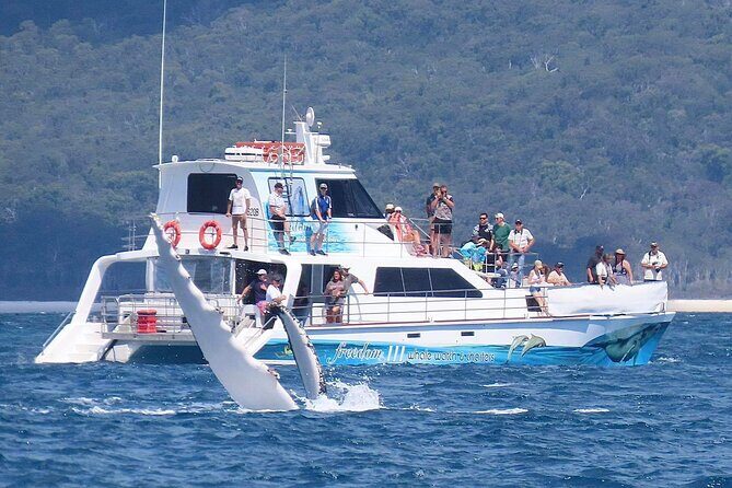 Freedom 3/4 Day Hervey Bay Premium Whale Watching Cruise - The Itinerary: What to Expect from Start to Finish