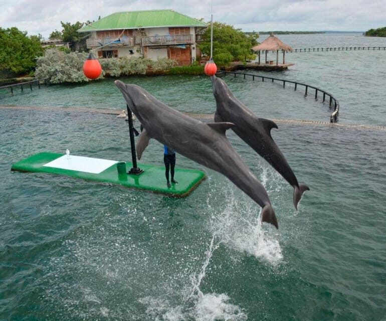 Freedom Beach - Barú + Oceanarium + Plankton - Who Will Love This Tour?