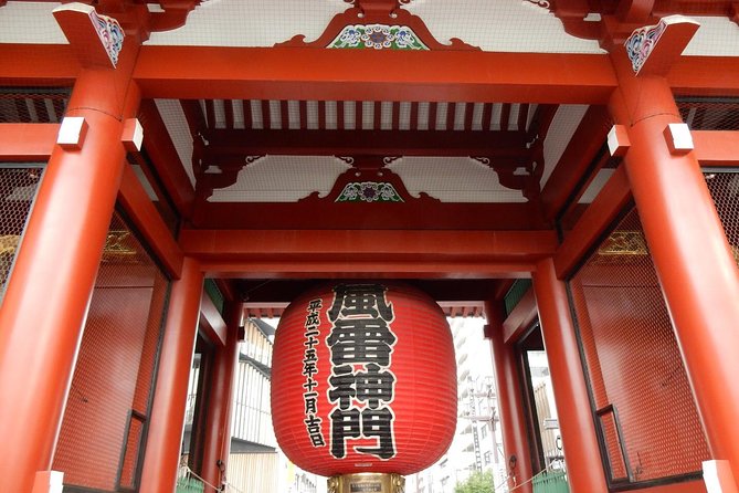 Freely Set up Plans Guided Private Tours in Tokyo - Accessibility and Flexibility