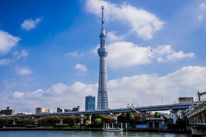 Freely Set up Plans Guided Private Tours in Tokyo - Personalized Itinerary Planning