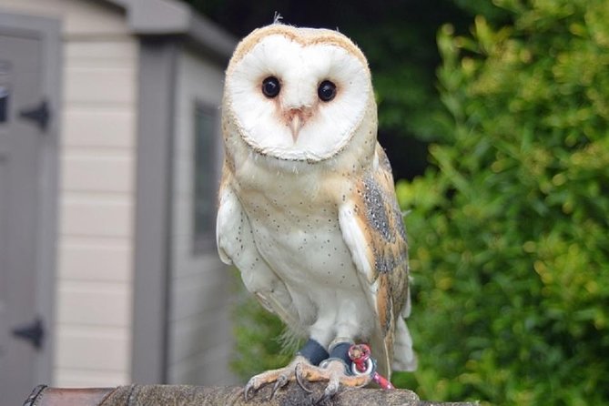 Freely Set up Plans Guided Private Tours in Tokyo - Exploring Tokyos Iconic Landmarks