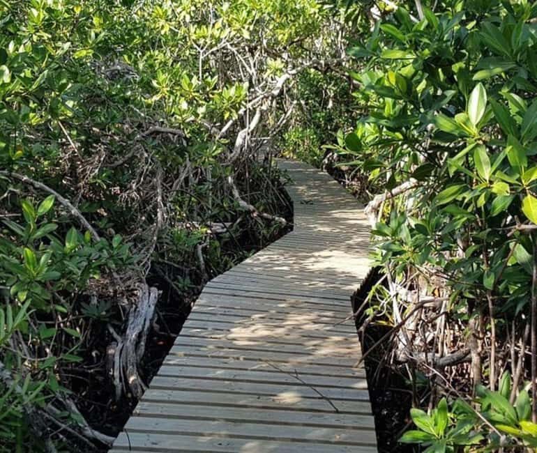 Freeport: Grand Bahama Culture, History & Local Flavors Tour - Discovering the Heart of Grand Bahama