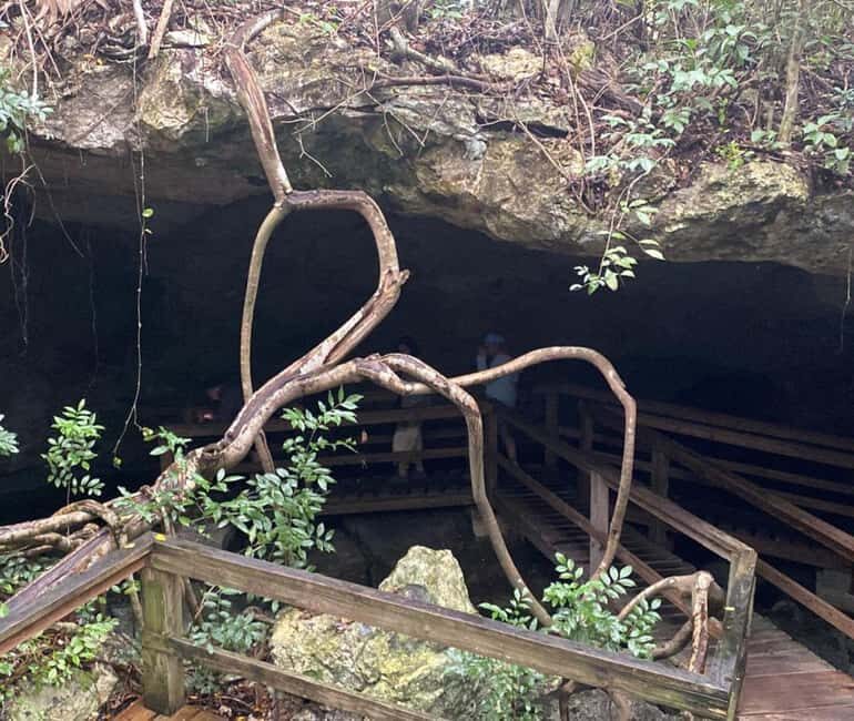 Freeport: Grand Bahama Culture, History & Local Flavors Tour - FAQ