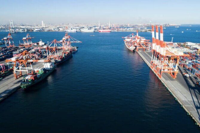 Freeport Shore Excursion: Garden of the Groves and City Tour - Who Will Love This Tour?