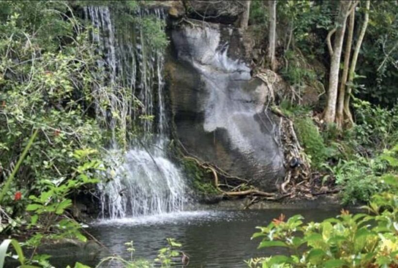 Freeport Shore Excursion: Garden of the Groves and City Tour - A Closer Look at the Tour Itinerary