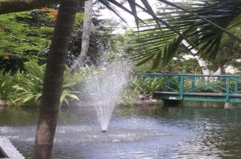 Freeport Shore Excursion: Garden of the Groves and City Tour - The Sum Up: Who Will Love This Tour?