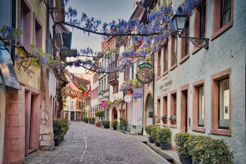 Freiburg: Express Walk with a Local in 60 minutes - The Sum Up