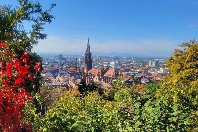 Freiburg - Historic walking tour - Why This Tour is a Great Fit