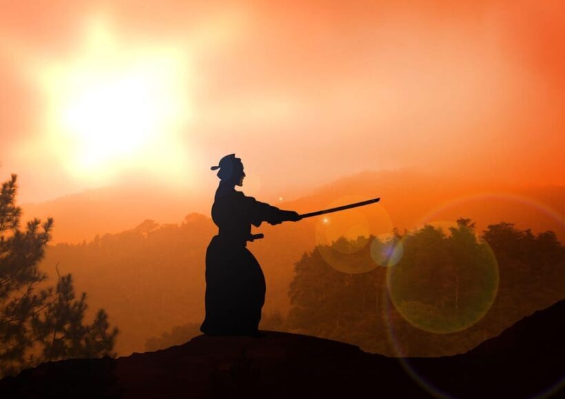 Freiburg im Breisgau: Essence of Samurai Martial Arts & Yoga - An Authentic, Customizable Experience in Freiburg