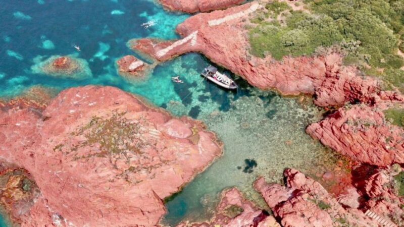 Fréjus 2.5 Hours Sea Excursion by Boat - Why This Tour Offers Genuine Value