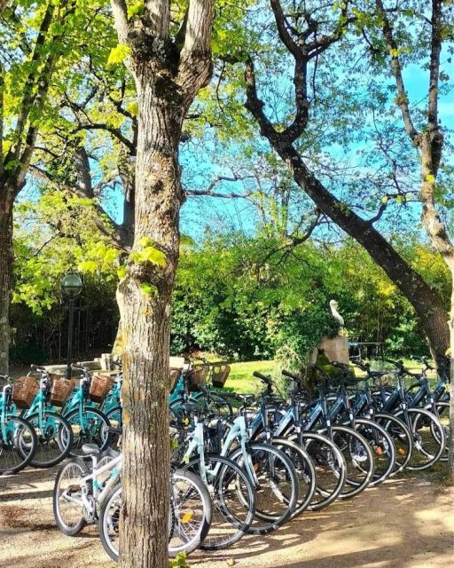 Frejus: Bike Rental - Activity Overview