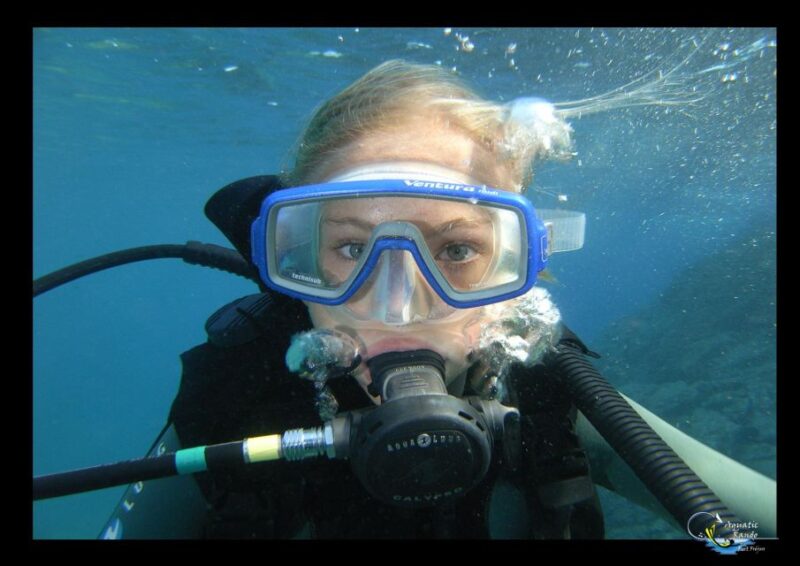 Fréjus: Diving Experience in Port-Fréjus with an Instructor - The Sum Up