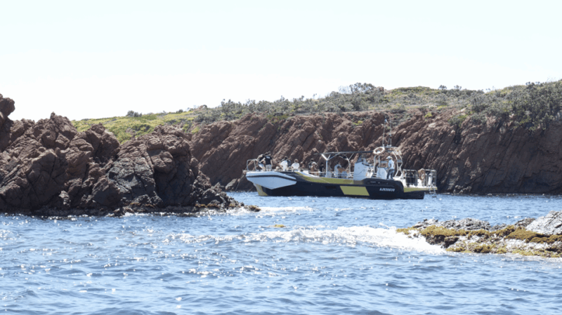 Fréjus: Sea and Creeks Boat Tour with Snorkeling and Drinks - The Sum Up