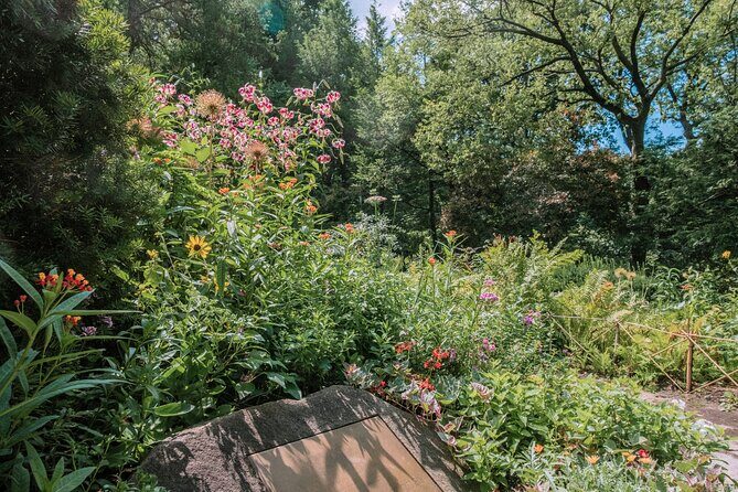 French Bicycle Tour of Central Park - Cinema - The Sum Up: Who Will Love This Tour?