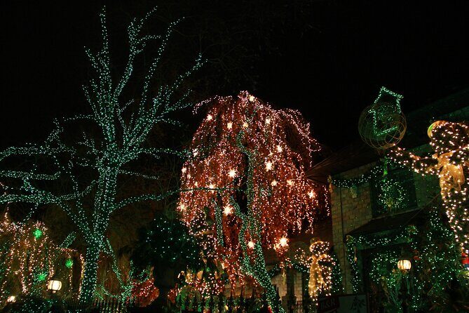 French Christmas Tour in Brooklyn - The Sum Up