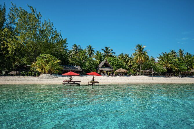 French Polynesia Snorkeling and 4X4 Adventure Tour with Buffet - Exploring Bora Bora’s Underwater World