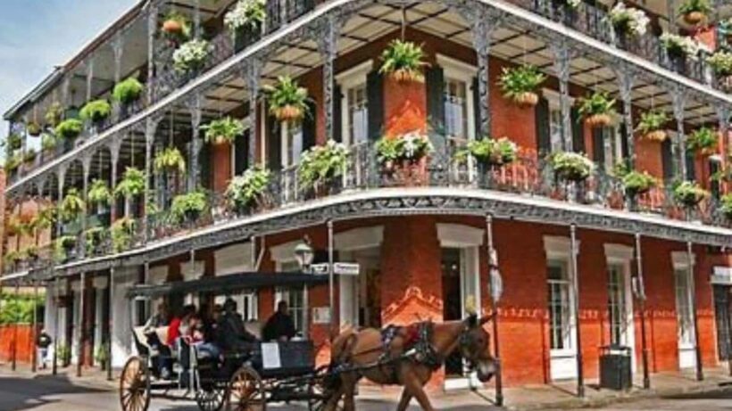 French Quarter Tour with Local Guide and Creole Stories - A Genuine Walk Through the Heart of the French Quarter