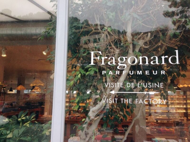 French Riviera and Provence Private Day Trip - Final Thoughts