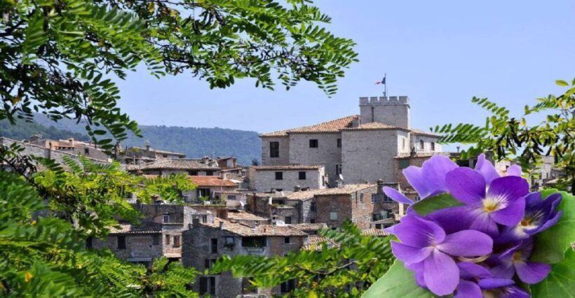 French Riviera: Countryside Half-Day Tour from Nice - Practical Tips for the Tour