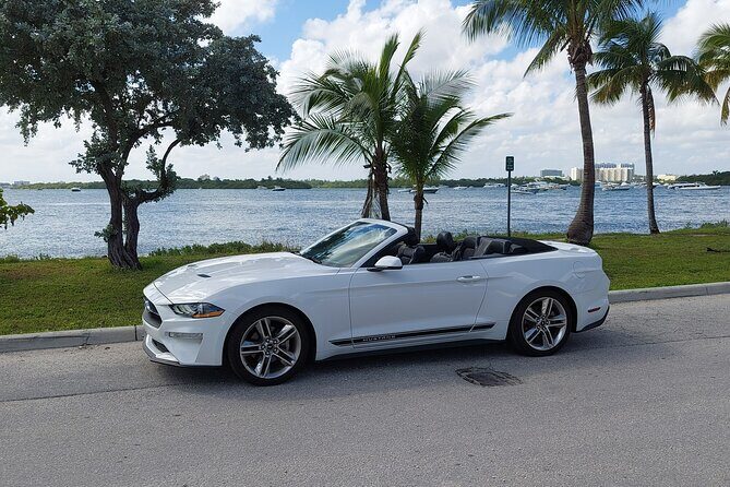 French tour of Miami in convertible mustang - The Experience at a Glance