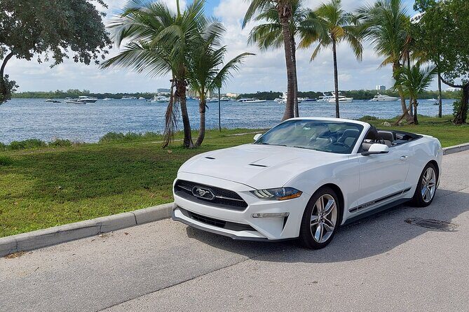 French tour of Miami in convertible mustang - Starting Point & Logistics