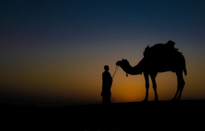 Frenzy Paradise Overnight Thar Desert Camping Tour - FAQs