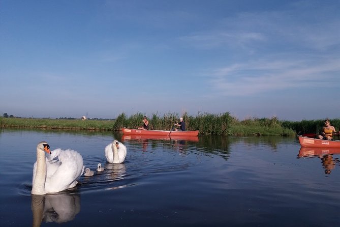 Fresh Nose Tour With the Canoe Through the Nature Near Amsterdam - Wildlife and Nature Encounters