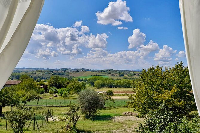 Fresh Pasta With a View in Langhe, Roero, Monferrato Near Asti - Chef Andreas Teaching Skills and Hospitality
