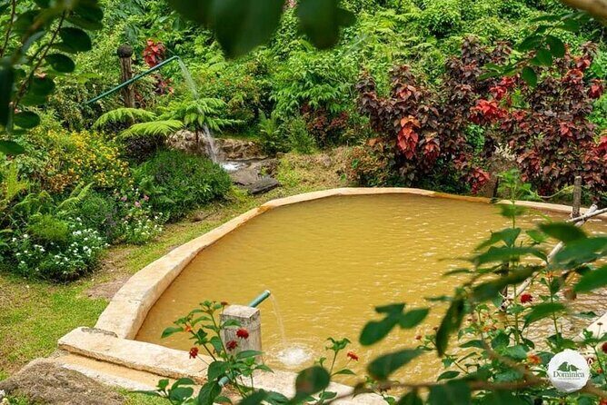 Freshwater Lake Titou Gorge Waterfalls and Sulphur Spa Adventure - Awe-Inspiring Trafalgar Falls