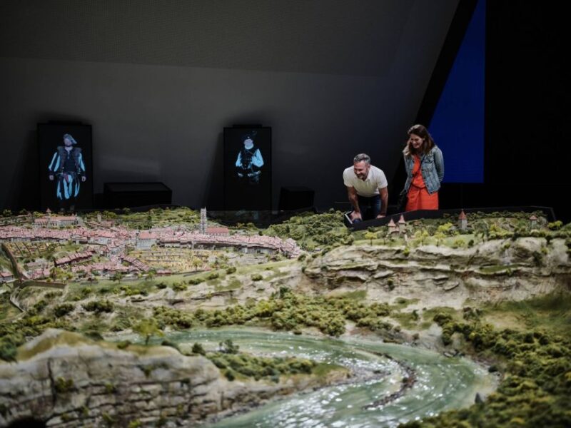 Fribourg City Card With Free Public Transport - Key Points