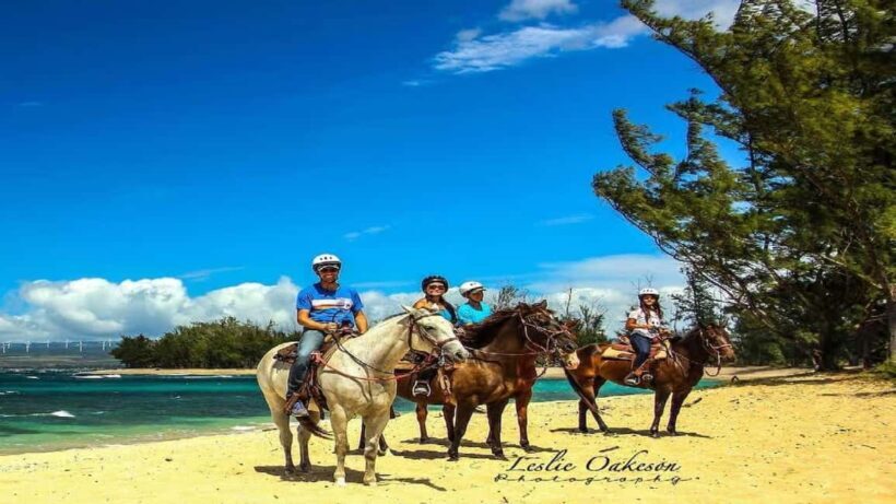 Fricolandia Beach Club Day Trip with Lunch - Who Will Enjoy This Trip?