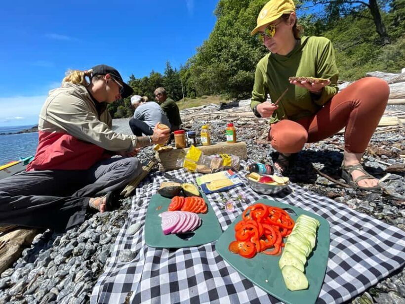 Friday Harbor: Half-Day Family Kayaking and Hiking Tour - An Overview of the Experience